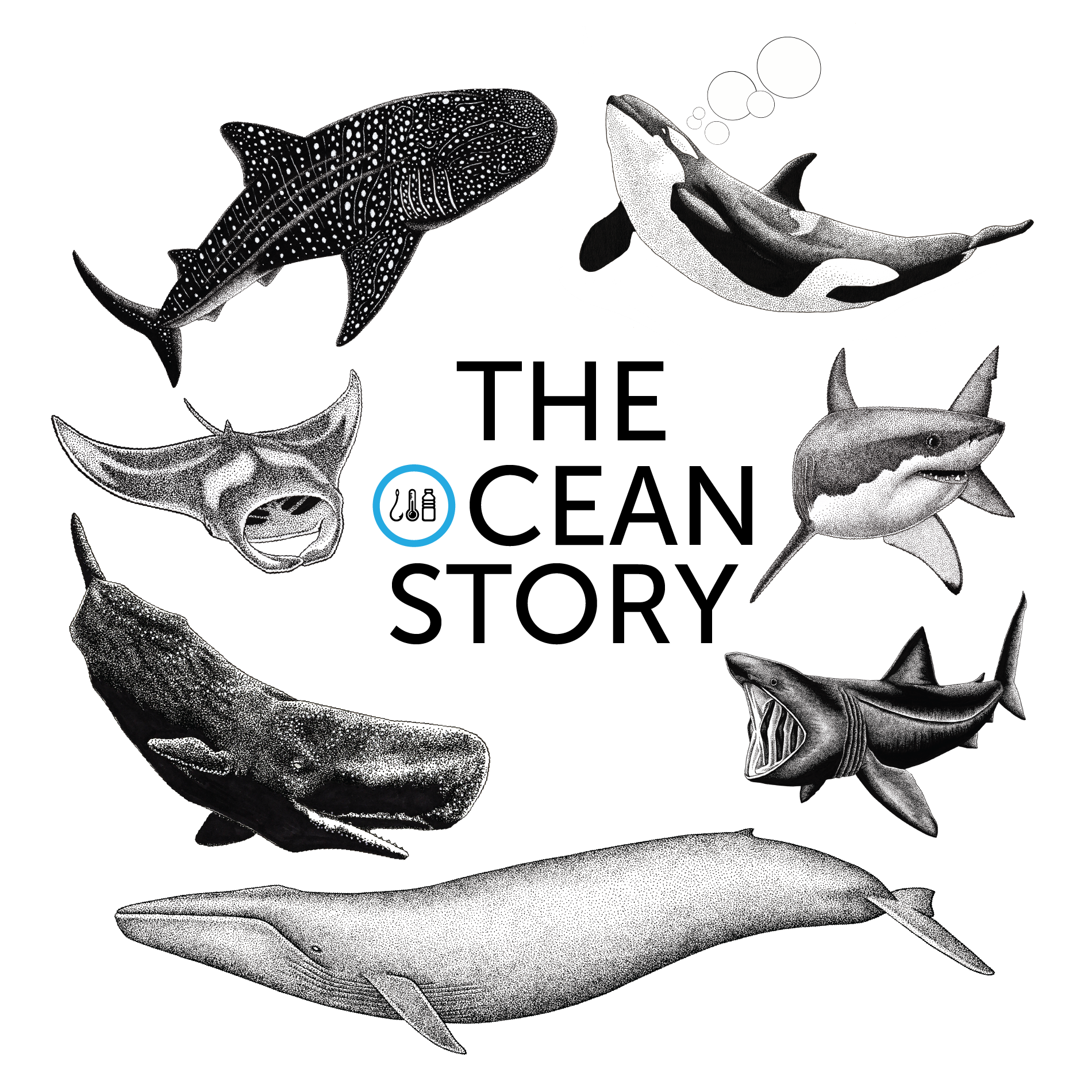 The story of the ocean - FUTURE ENGLISH